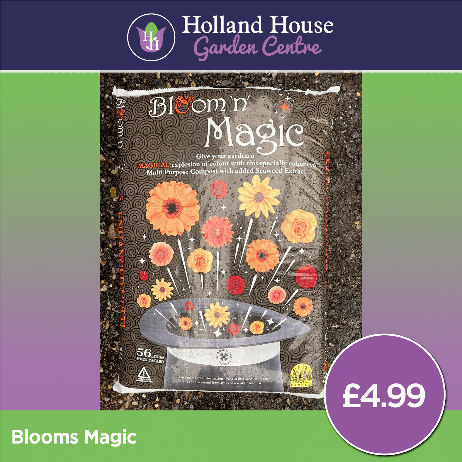 Bloom 'n' Magic - Holland House Garden Centre Preston