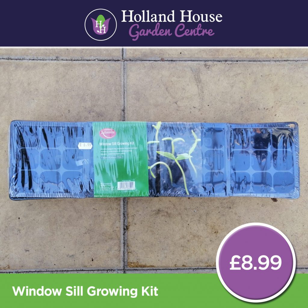 Holland House Window Sill Growing Kit - Holland House Garden Centre Preston