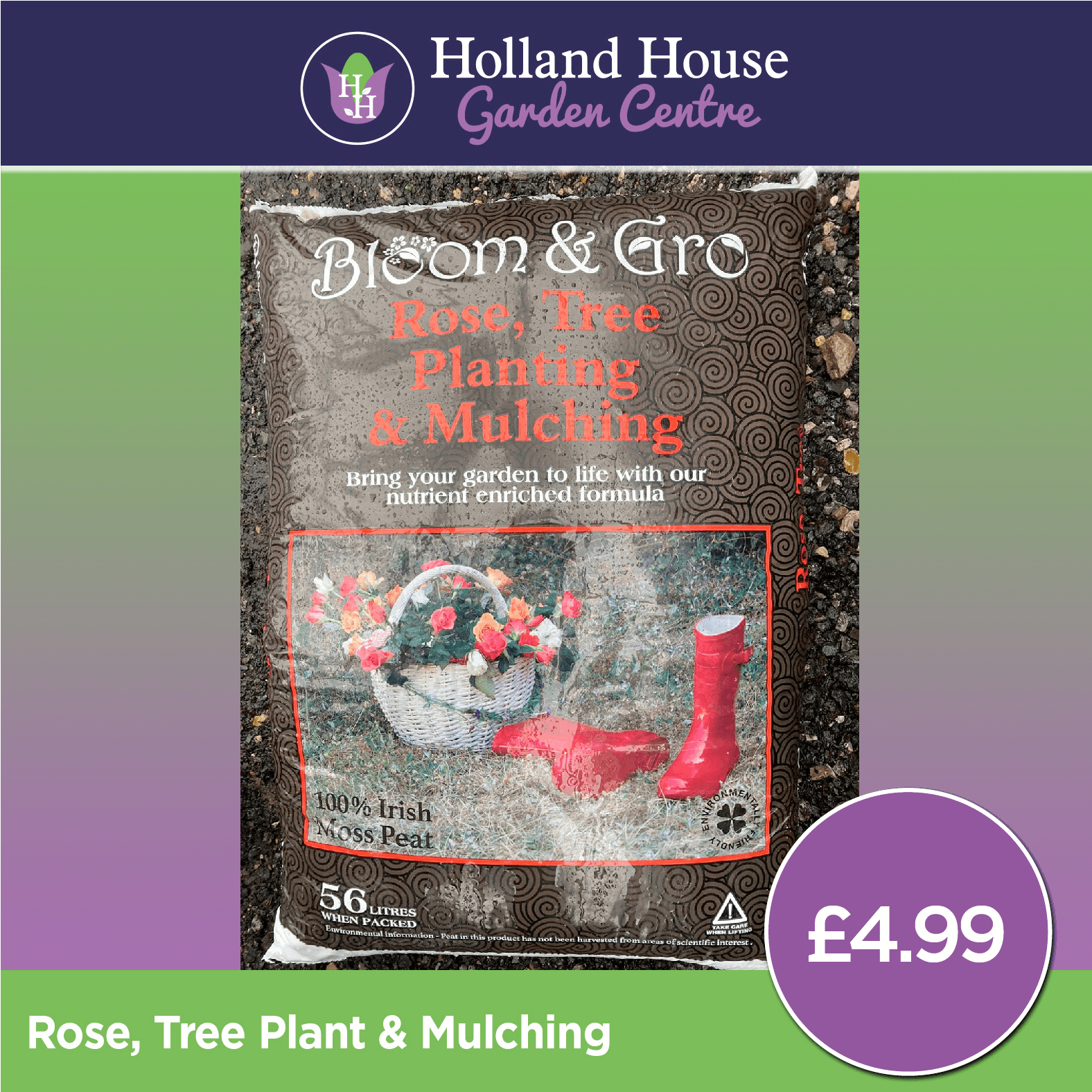 Rose Tree Plant And Mulching - Holland House Garden Centre Preston